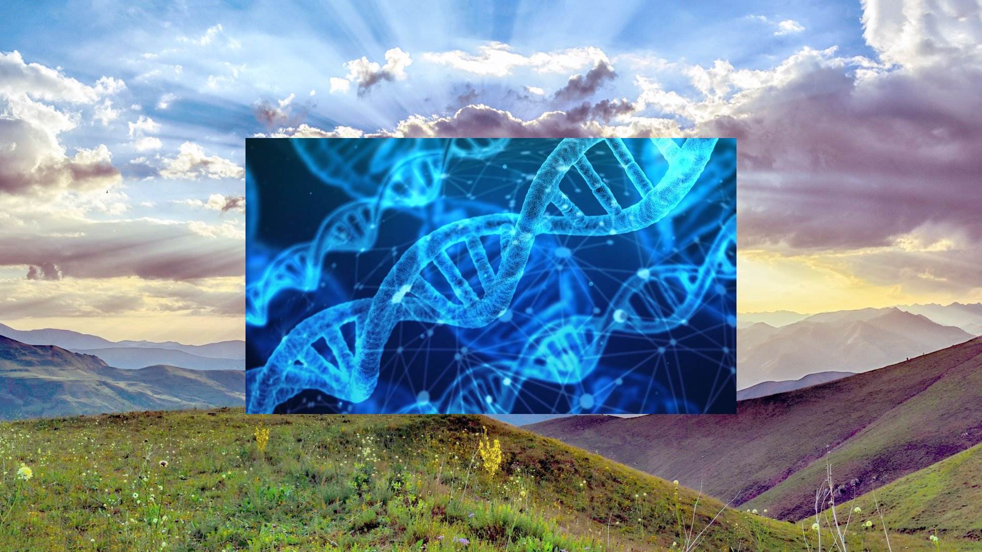 Why Genes Cannot Themselves Control Our Traits, And What Does - Bharat ...